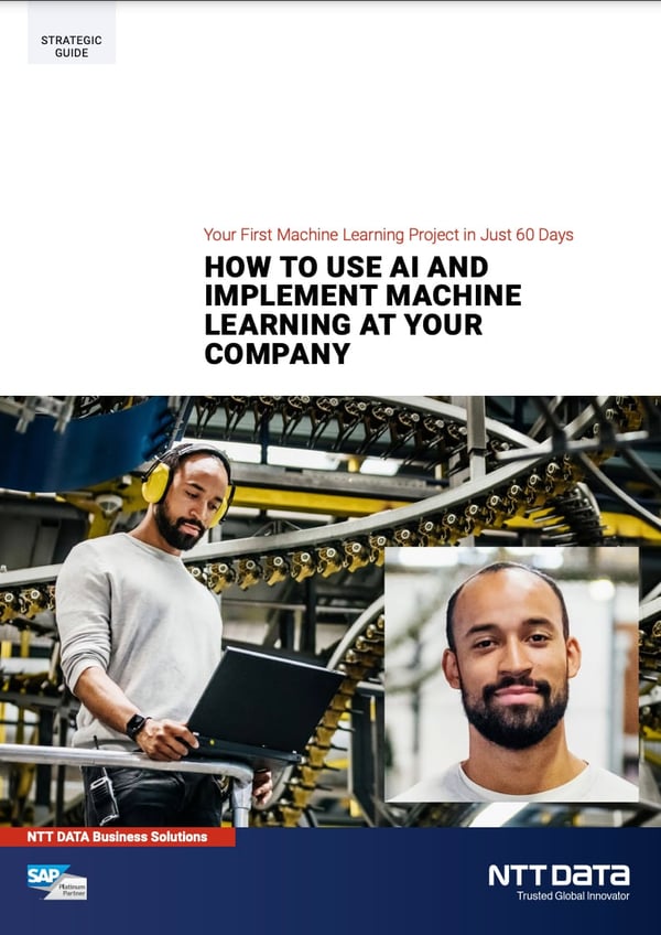 Your First Machine Learning Project in 60 Days | NTT DATA Business ...